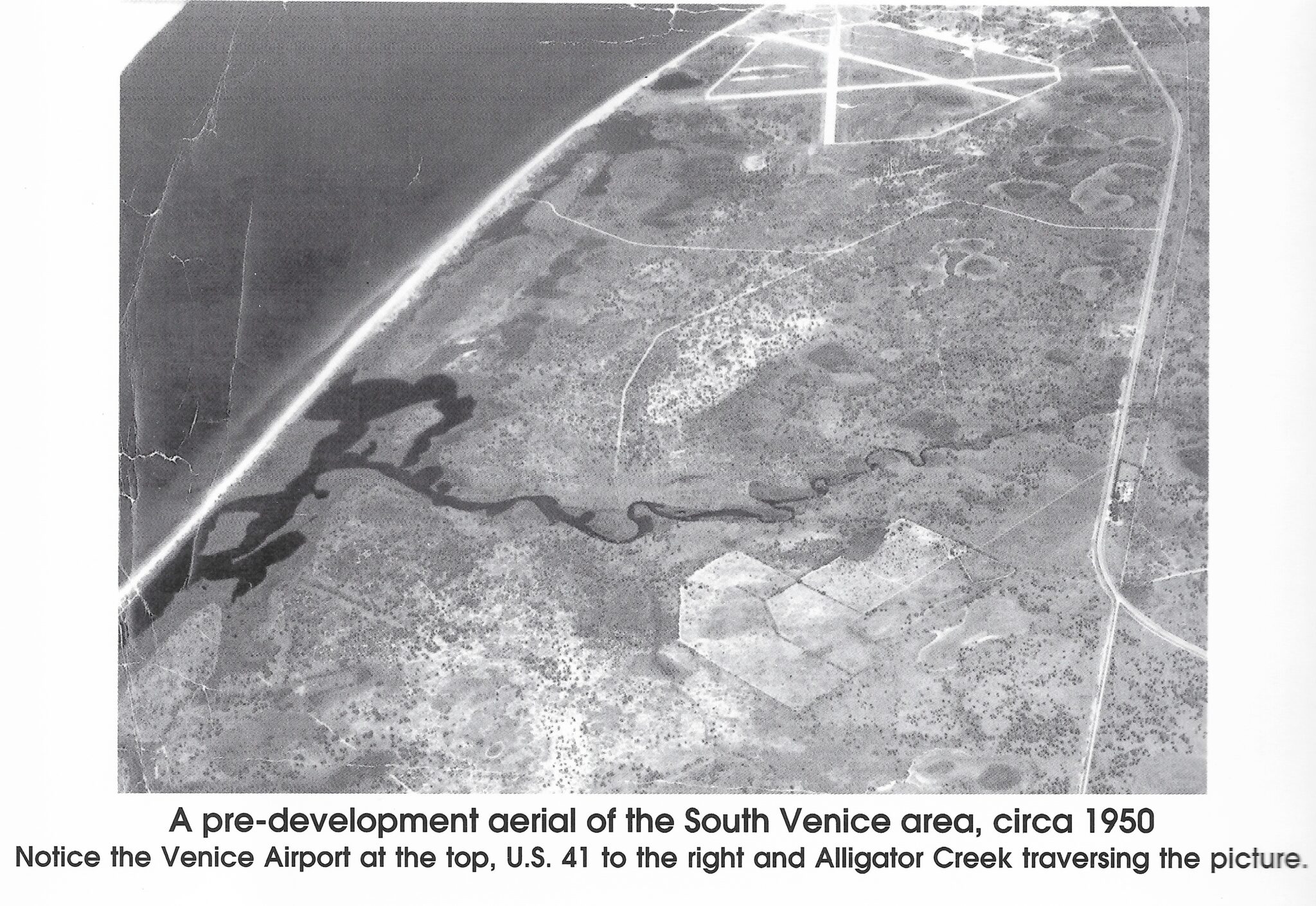 History of South Venice Beach – WELCOME TO SOUTH VENICE BEACH