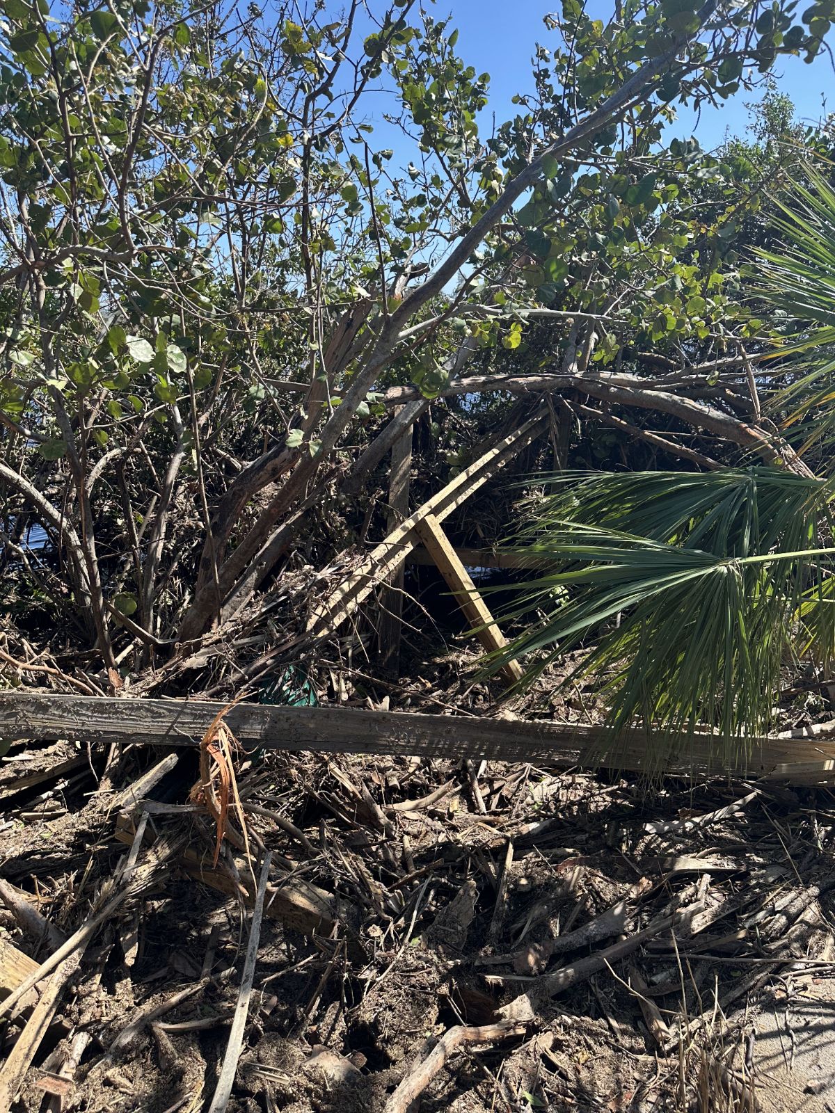 Hurricane Milton (Updated on 29 December 2024) – WELCOME TO SOUTH ...